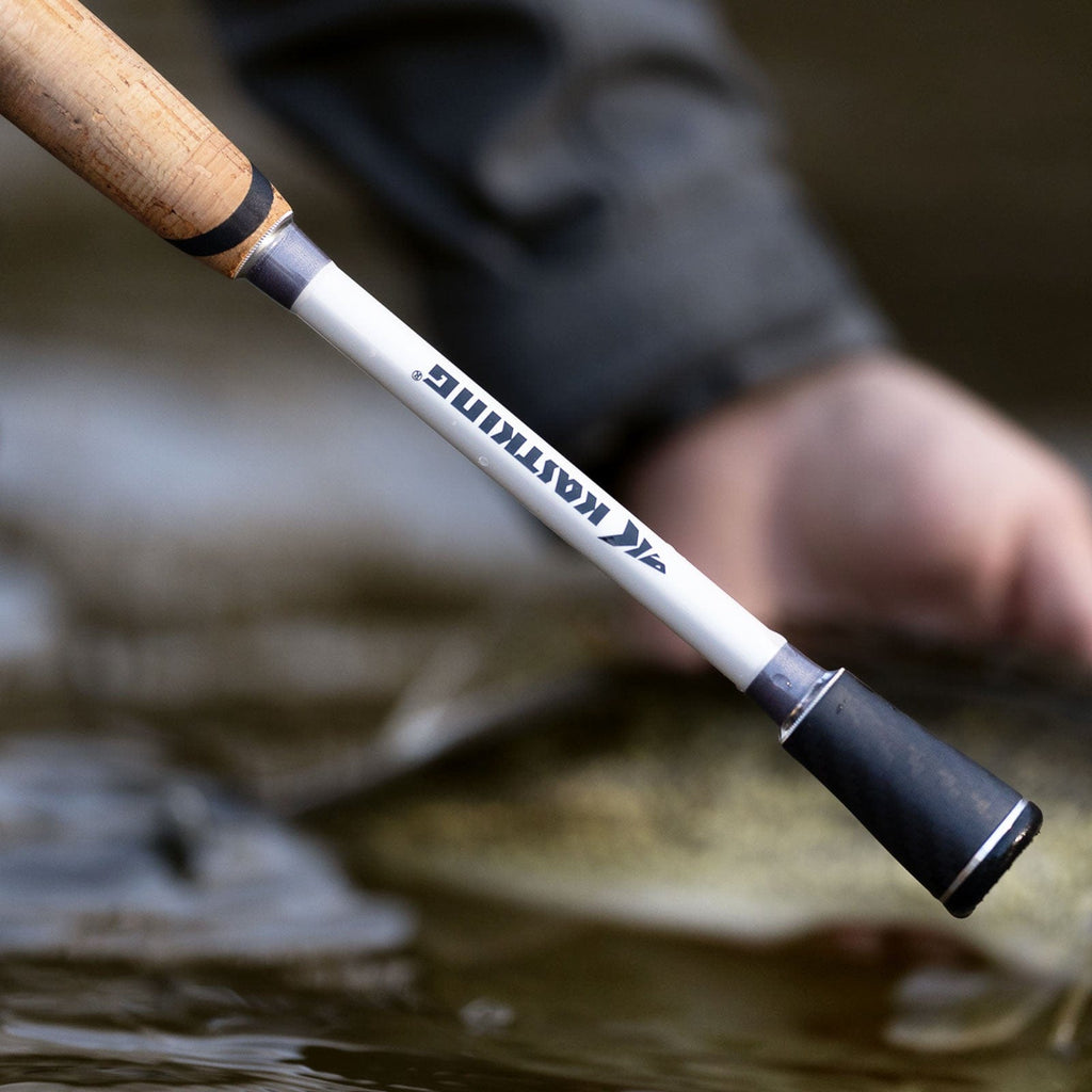 KastKing Assegai Technique Bass Fishing Rods