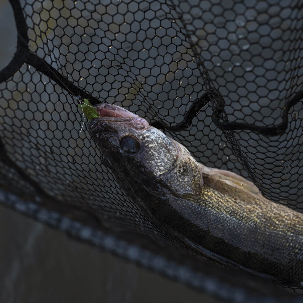 KastKing Brutus Foldable Extendable Fishing Net With Boat Hook