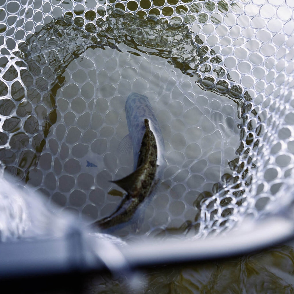 KastKing Brutus Foldable Extendable Fishing Net With Boat Hook