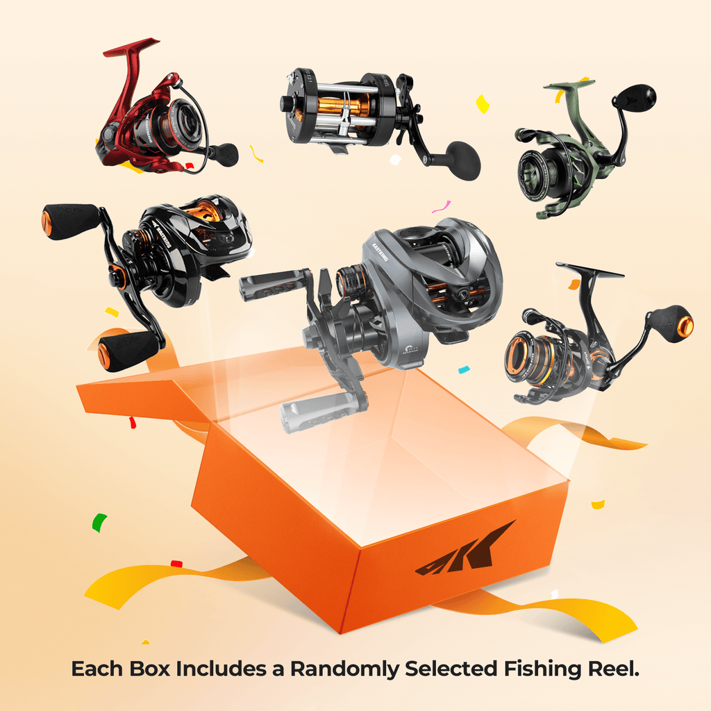 KastKing Reel Surprise Box